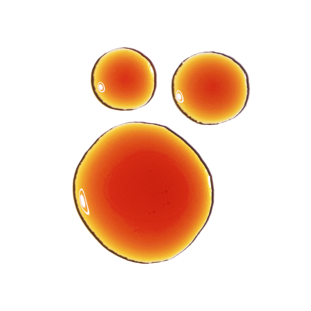 Brighten and Protect Your Skin with Pycnogenol 5% Formula